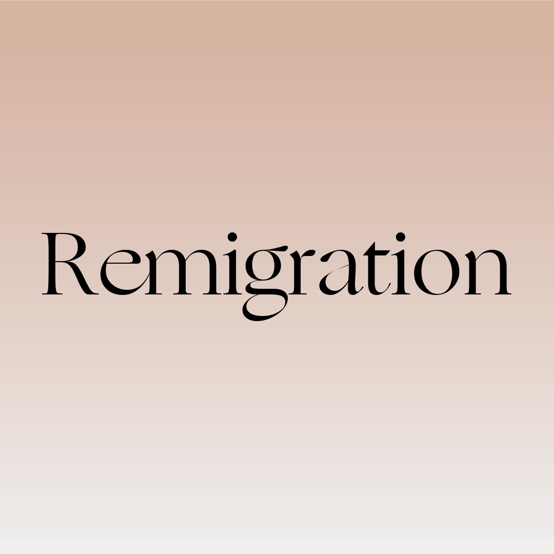 Remigration - Inventar der Migrationsbegriffe